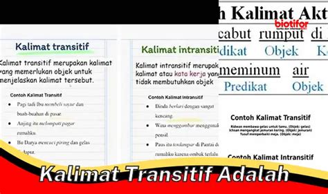 Pengertian Dan Jenis Jenis Kalimat Transitif Yang Benar Biotifor