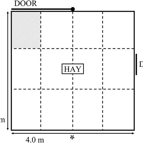 Schematic Diagram Of The Attention Bias Test The Symbol Ã Denotes Download Scientific