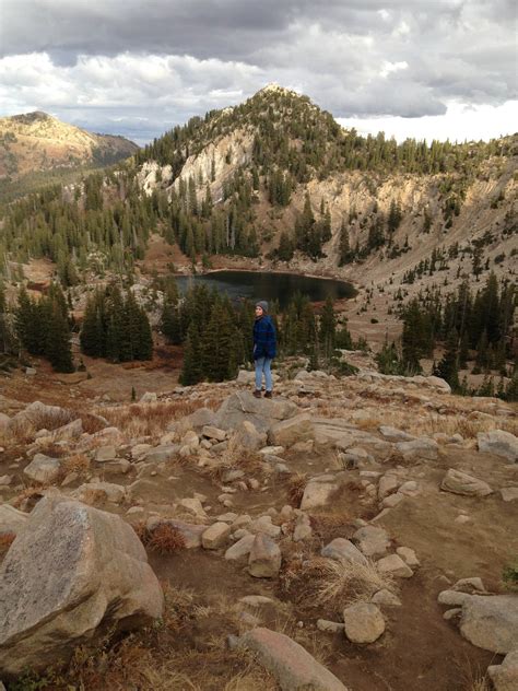 Albion Basin Dispersed Camping Alta Utah