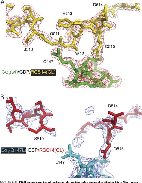 Figure 1 From Structural Determinants Of Affinity Enhancement Between Goloco Motifs And G