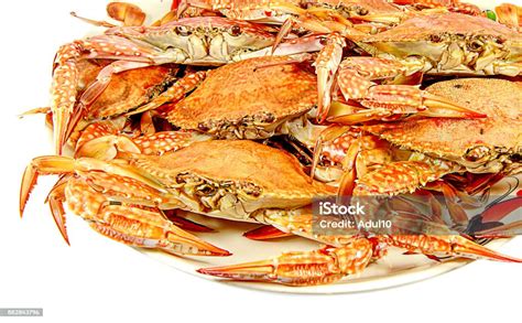 Crabshot 찐 게 접시에 흰색 배경에 고립 톱니 모양의 진흙 게 고급 레스토랑 및 해산물 뷔페 음식 실내 취사 라인에서 비즈니스 사람들 그룹 갈고리 발톱에 대한 스톡