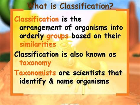 Classification Copyright Cmassengale 1 What Is Classification