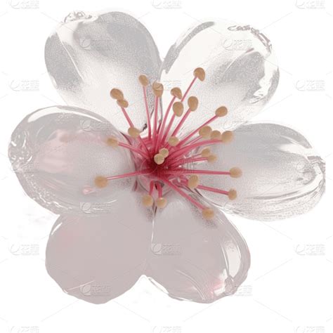 浪漫粉色樱花花朵