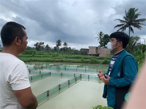 Mahasiswa KKN Bantu Pemasaran Online Ikan Budidaya Masyarakat TEKNOKRA