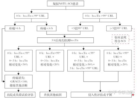 《心肌肌钙蛋白实验室检测与临床应用中国专家共识》解读 知乎