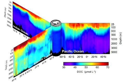 Distributions Of Doc Concentrations Derived From The Ultraviolet Blue