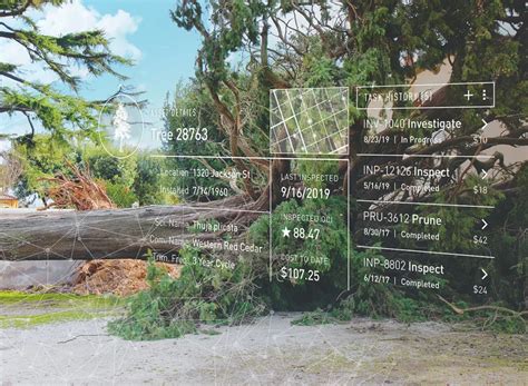 Tree Management Software Opengov