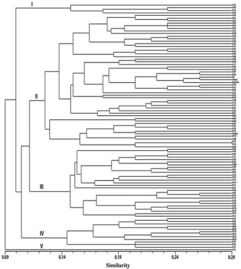 unweighted pair group method with arithmetic mean dendrogram by using