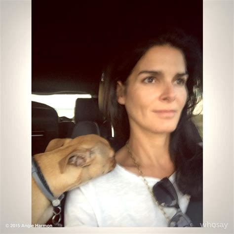 Angie Harmon Page 71 The L Chat