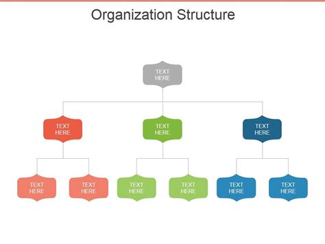 Organization Structure Ppt PowerPoint Presentation File Slide