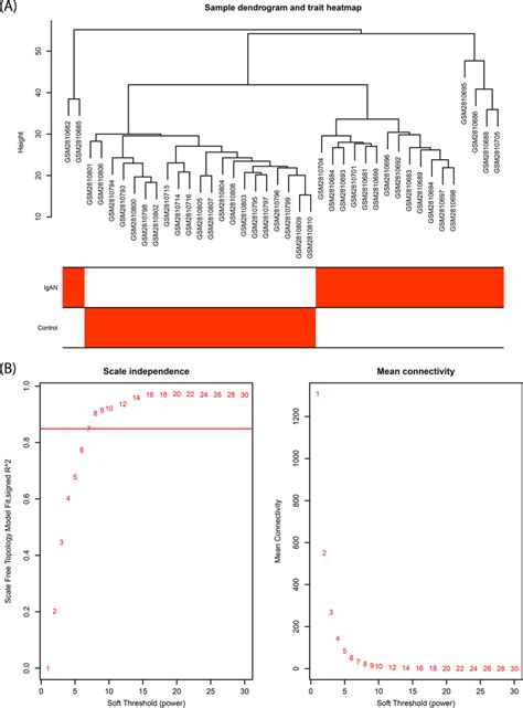 Sample Clustering And Estimation Of The Soft Thresholding Value A