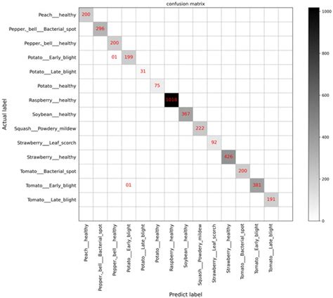 Crop Disease Identification By Fusing Multiscale Convolution And Vision Transformer