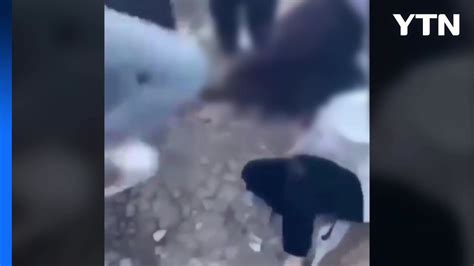 충남 천안서 또래 여학생들 집단 폭행한 초·중학생 20여 명 수사 중 Ytn Youtube