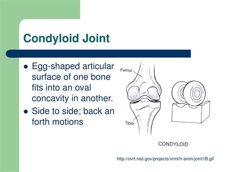 Ppt Joints Powerpoint Presentation Free Download Id4596042