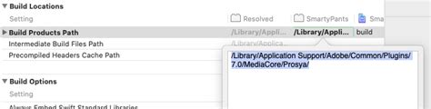Solved Xcode Build Target In Catalina Macos Adobe Community 12149147