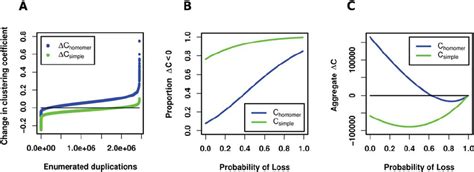 The Effect Of Gene Duplication On The Clustering Coefficient Every