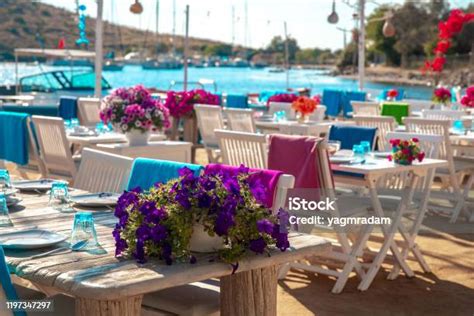 터키 구무슬루크의 보드룸 해변에서 생선 레스토랑이나 카페 부겐빌레아 꽃 에게 해 스타일의 화려한 의자 테이블과 아름다운 에게 해 근처 보드룸 마을에서 꽃 건물 외관에 대한