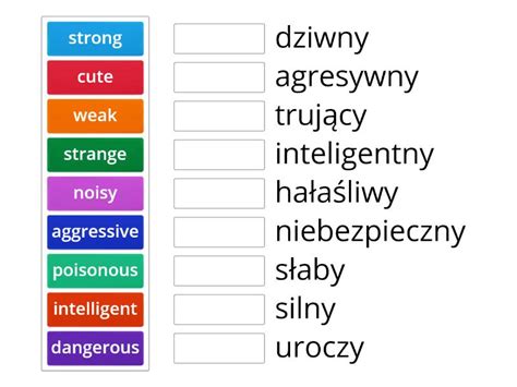 Evolution Plus 3 Unit 21 Adjectives 1 Match Up