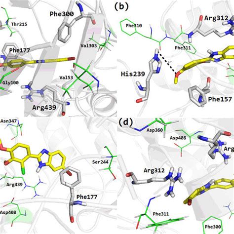 Predicted Binding Mode Of A Compound 17 B Compound 1 C Compound 7