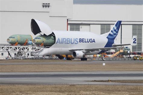 Meet The Boeing Dreamlifter And The Airbus Beluga Flytrippers