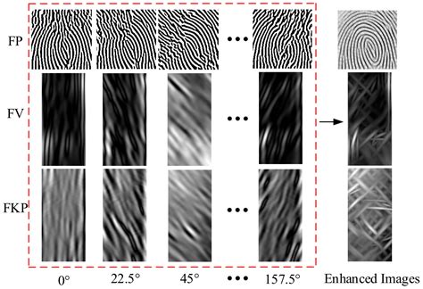 sensors free full text novel local coding algorithm for finger