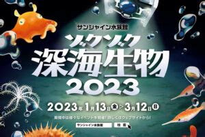 坂本龍馬にちなんだリョウマエビ四国水族館で初展示あとなびマガジン