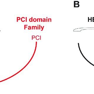 Possible Alternatives For The Evolution Of PCI Domains A PCI Domains