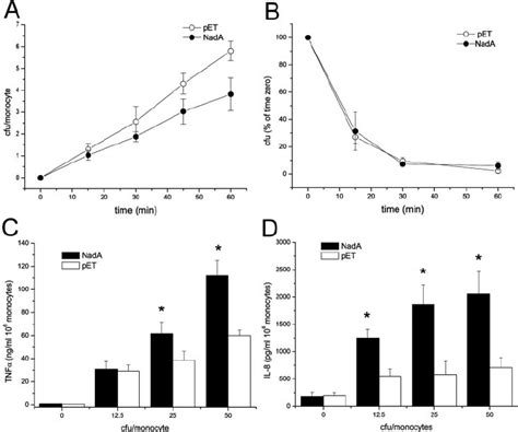 Monocyte Adhesion Survival And Stimulation By A Nada Expressing E Download Scientific