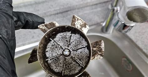 좋아요 친절하시구 손도 빠르시고 모르는것도 잘 알려주세요 신경쓰지 않은부분까지 해주셔서 만족합니다 앞으로도 꾸준히 이용할거같아용 숨고 숨은고수