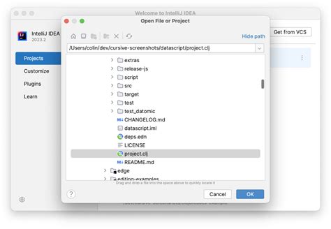 Cursive Working With Leiningen