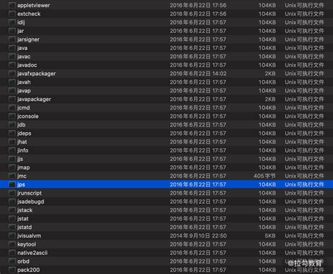 Java源码解析第26讲：生产环境如何排除和优化 Jvm？生产环境能使用jstack Csdn博客