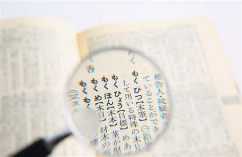 The Power Of Multiple Intelligences In Learning And Life