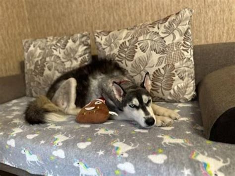 Как смешивать цвета краски для волос для получения нужного цвета Смешивание красок для волос