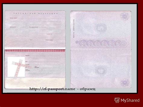 Паспорт образец пустой для распечатки
