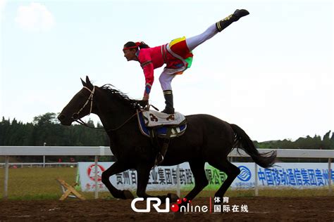 马术特技表演 马术表演秀 特技表演 第12页 大山谷图库