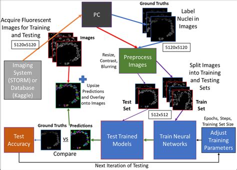 labeling image processing at buddy byram blog