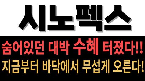 시노펙스 주가전망 대박 수혜가 터졌다 지금부터가 시작이다 Youtube