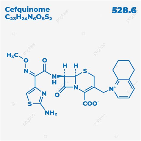Molecular Structure Vector Art Png The Molecular Structure Of Cefquinome Cefquinome