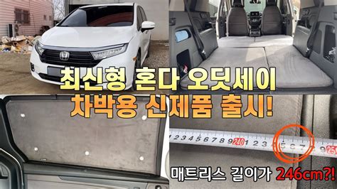 H2korea 24년형 혼다 오딧세이 차박용 신제품 출시 요즘 대세 프라이버시 완벽 차단 차박 커튼 최고급