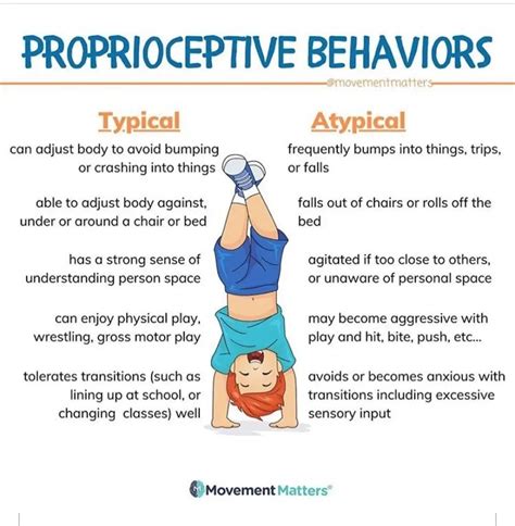 Proprioceptive Behavior Artofit