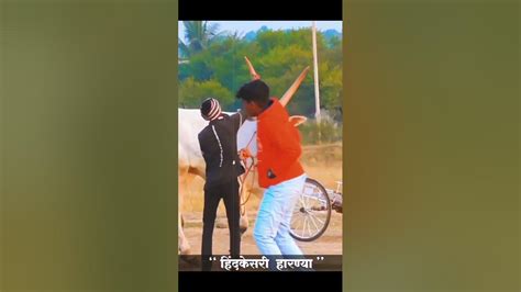 🤩 हिंदकेसरी हरण्या Hindkesari Harnya👑🔝 Youtube