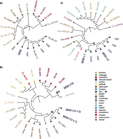 Consensus Trees From The Bayesian Phylogenetic Analysis Of Six Genes