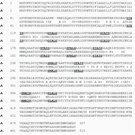 Amino Acid Sequence Comparison Of The Functional Domain Of The B And