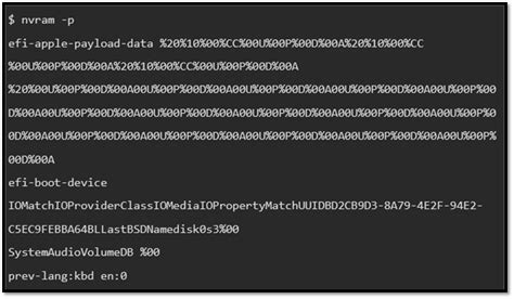 What Is NVRAM And How Can You Reset It On Mac Qiling