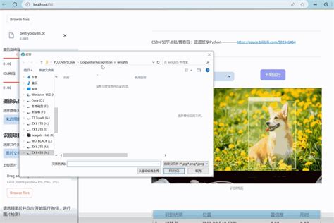 基于深度学习的犬种识别系统详解（网页版yolov8v7v6v5代码训练数据集） 逗逗班学python 博客园