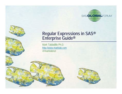 Regular Expressions In Sas Enterprise Guide Pdf