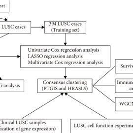 The Workflow Chart For This Study Download Scientific Diagram