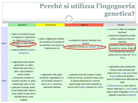 Ppt Ingegneria Genetica Powerpoint Presentation Free Download Id 2282011