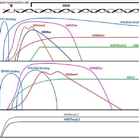 Selected Histone Modifications Used In Current Applications For