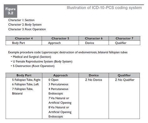 Guest Post The Anatomy Of The ICD PCS Code ACDIS